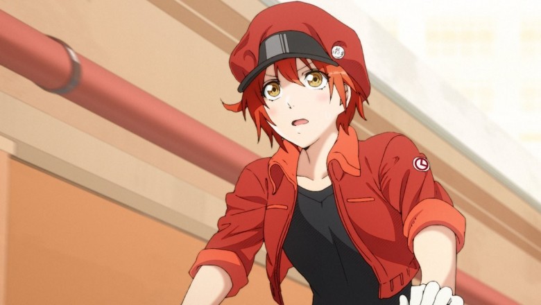 TV Anime Cells at Work! İçin Karakter Tasarımları Yayınlandı | Animeler.NET